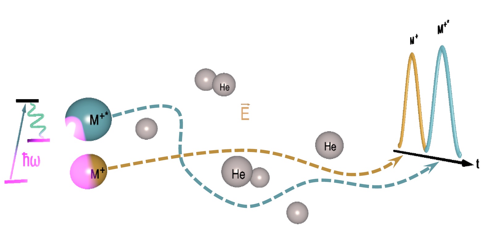 Webpage of the European LRC project